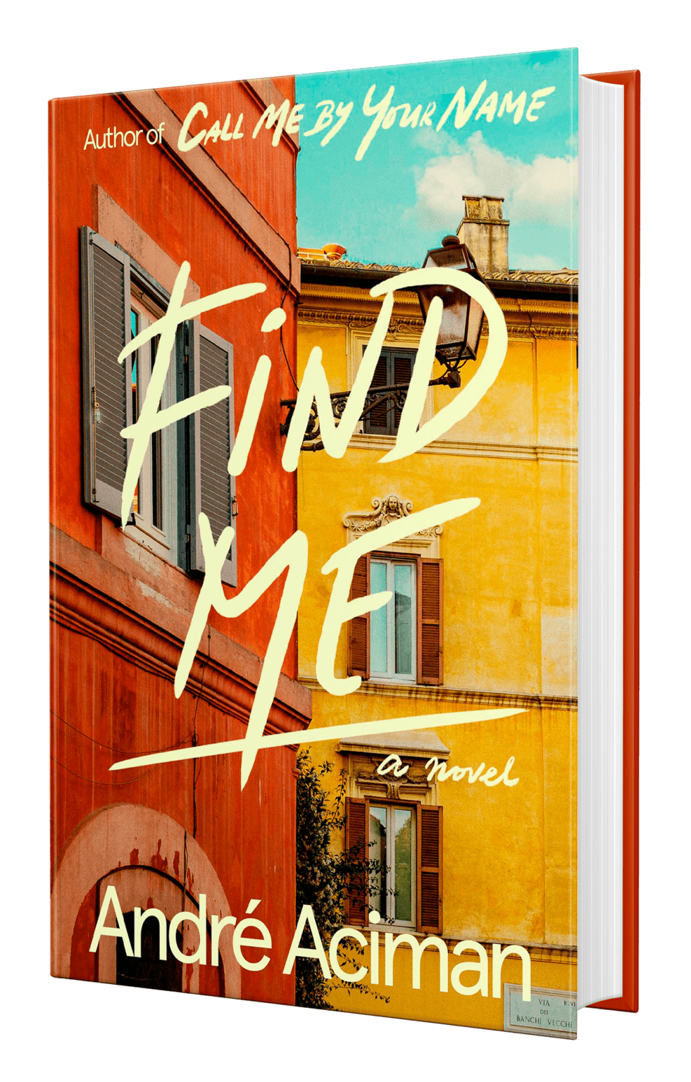 André Aciman - Novelist