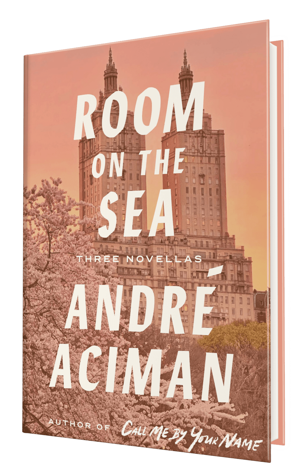 Books - André Aciman