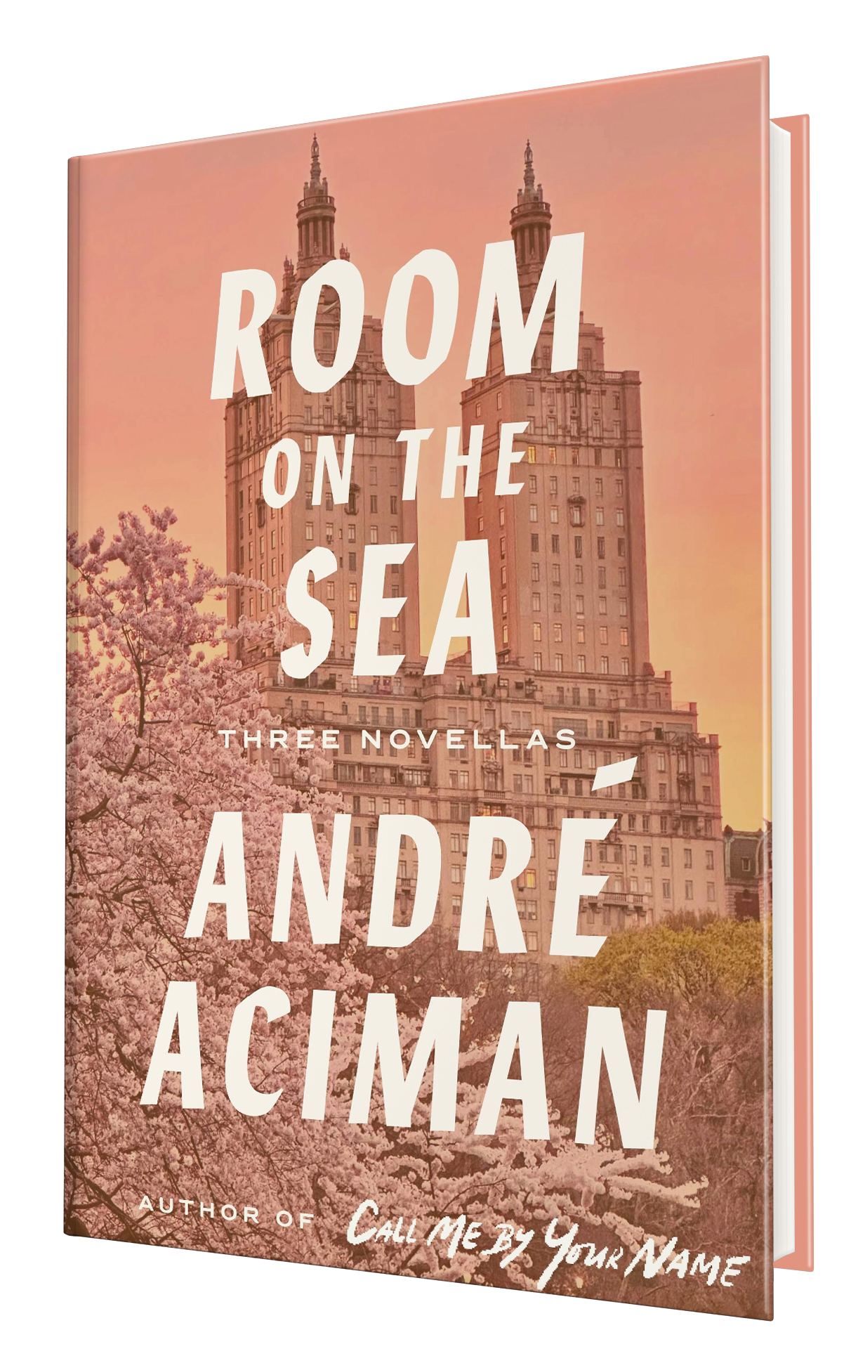 Books - André Aciman